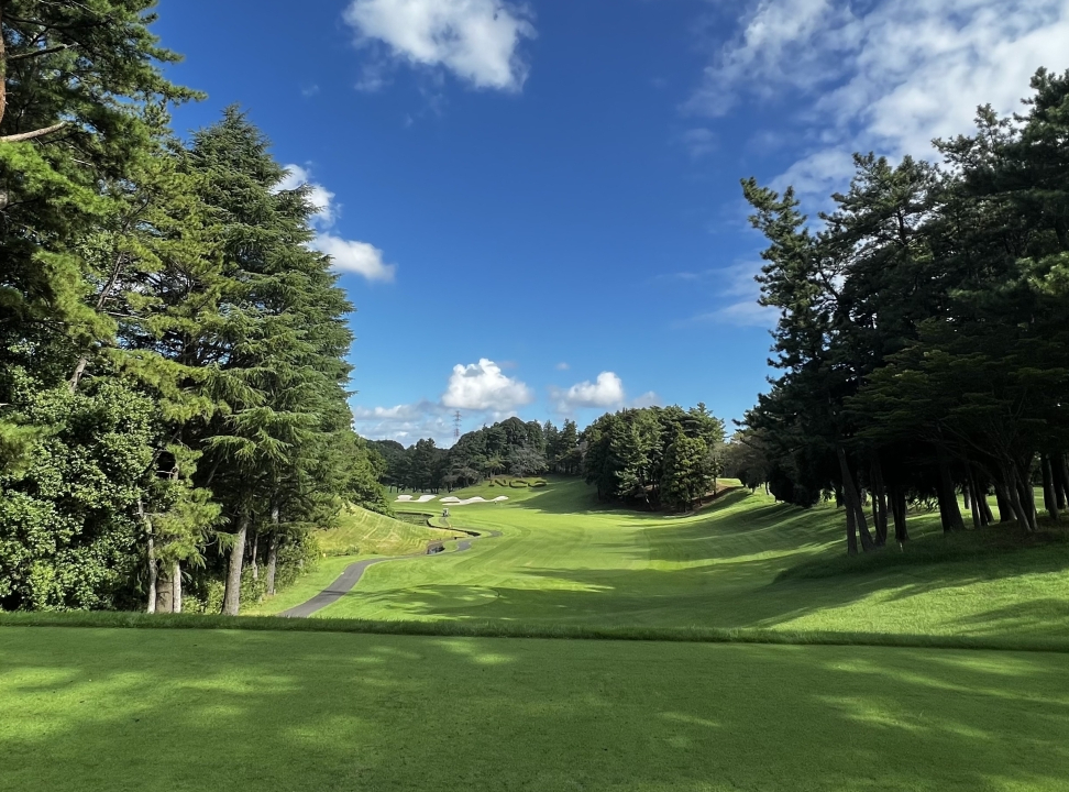 Golf Picks | Latest News | Sport Updates | Dunkel Index